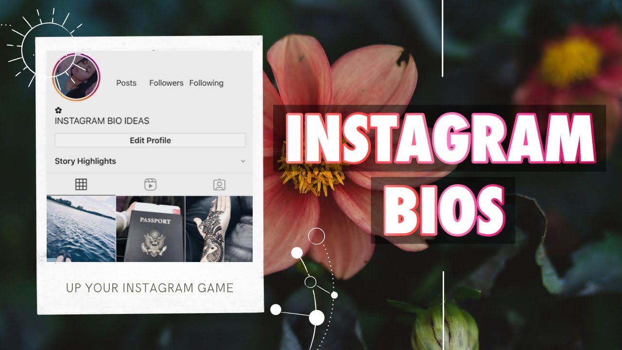 Instagram Bio Ideas That’ll Up Your Instagram Game - YouTube