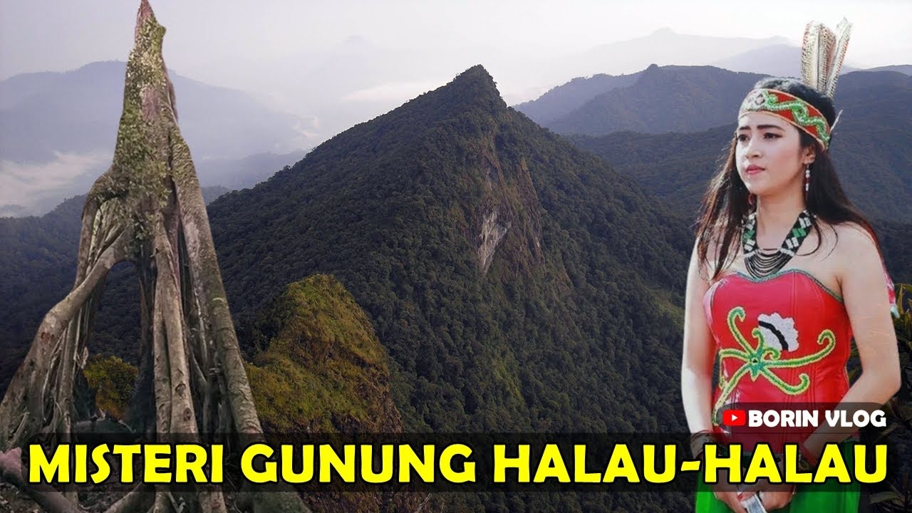 Misteri Gunung Halau Halau dan Mitos Kariwaya Pohon Keramat Suku Dayak ...