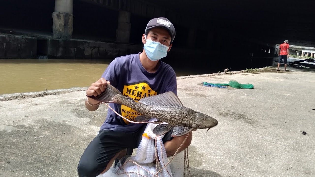 Menjala Besar Besaran Di Kuala Lumpur Di Penuhi Ikan Asing Masak Ikan