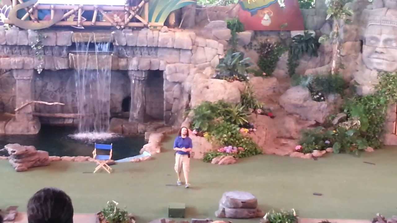 Animal Actors Show, Universal Studios Orlando! - YouTube