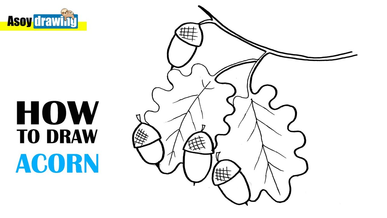 How to Draw Acorn - YouTube