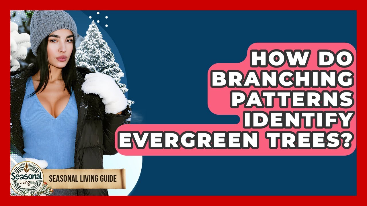 How Do Branching Patterns Identify Evergreen Trees? - Seasonal Living ...
