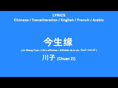 今生缘 (Life's Affinities) - Chuan Zi (Chinese, Transliteration, English ...