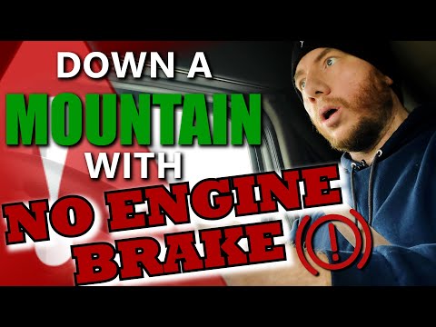 Going Down a Mountain with NO ENGINE BRAKES - Regional Trucking #trucking #Truckingforbeginners