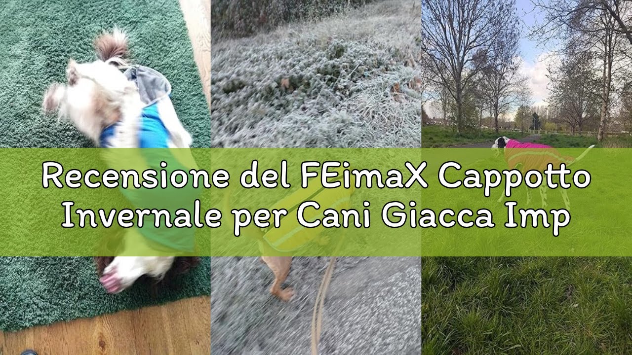 Recensione del FEimaX Cappotto Invernale per Cani Giacca Impermeabile ...