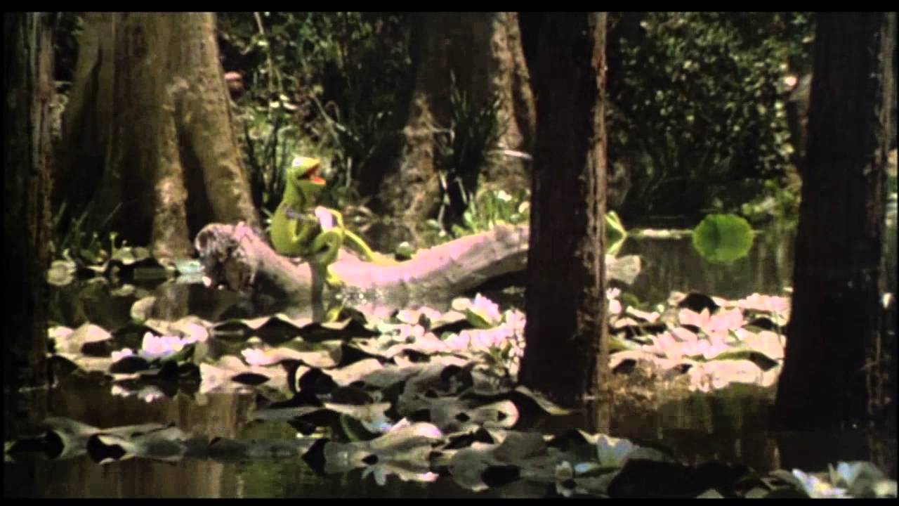 kermit - the rainbow connection - YouTube