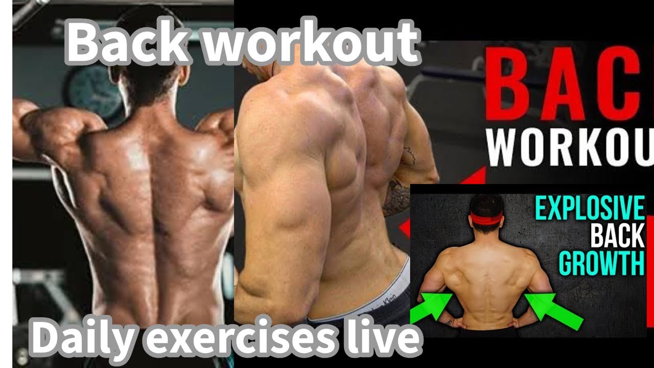 Today morning back workout || live gym workout | my home workout 🏋️‍♀️ ...