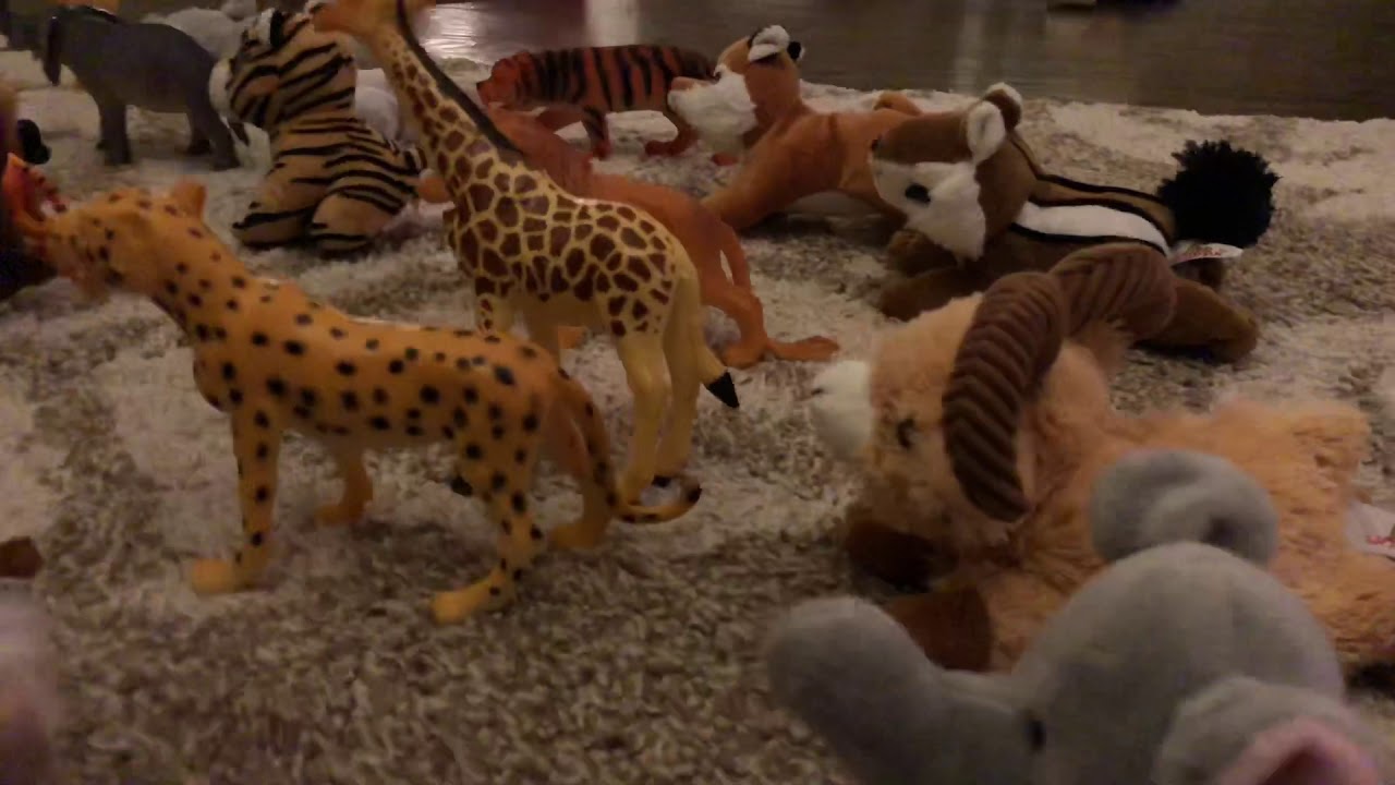 First born son Simba introduction - YouTube