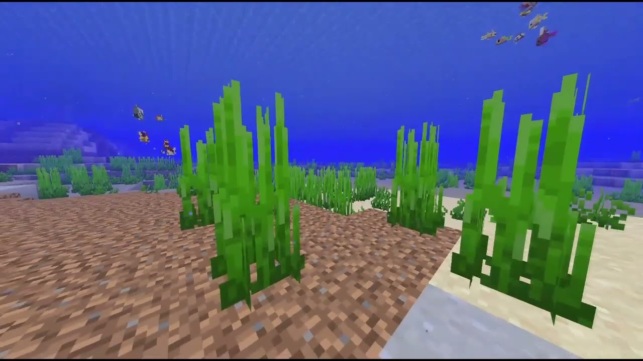 Marine Ecosystem - Minecraft - YouTube