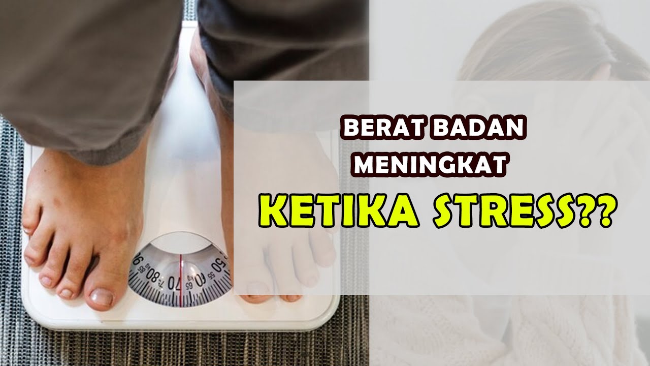 3 FAKTOR BERAT BADAN MUDAH BERTAMBAH KETIKA STRESS?? - YouTube