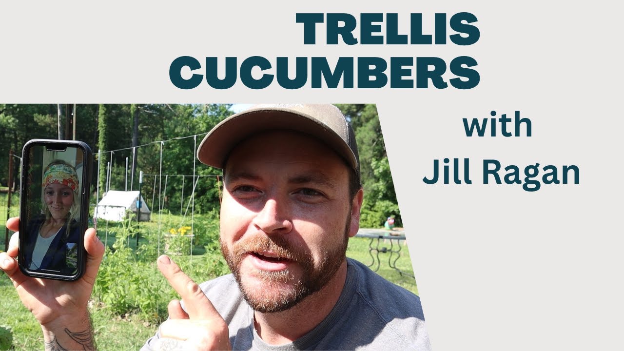Protect your CUCUMBERS from Disease {with Jill Ragan of Whispering ...
