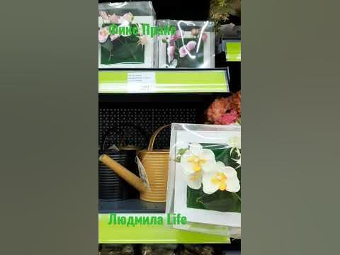 Фикс Прайс.Обзоры новинок в Фикс Прайсе. #новинкификспрайс #фикспрайс # ...