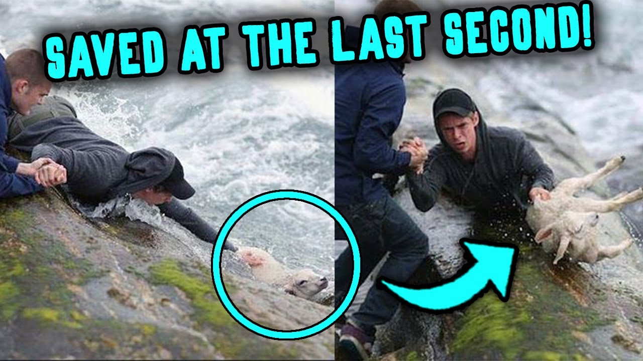 16 Minutes Of Videos That Will Restore Your Faith In Humanity - YouTube