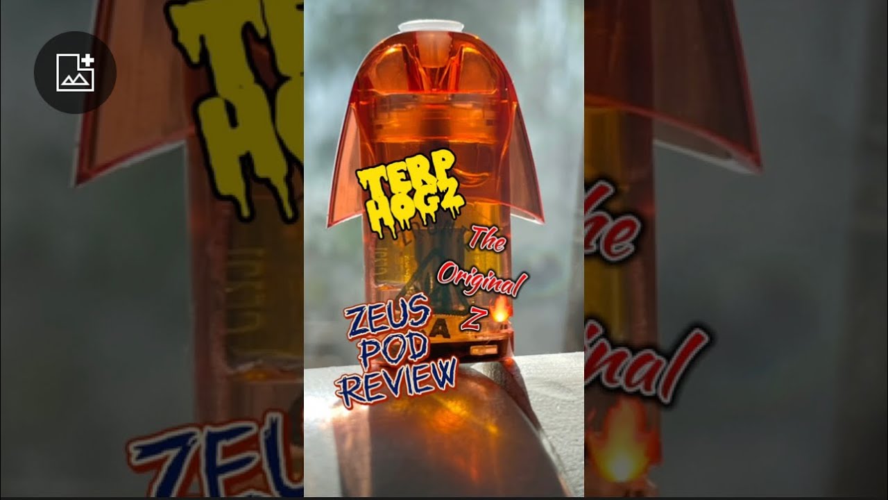 TERP HOGZ ZEUS SYSTEM! - YouTube