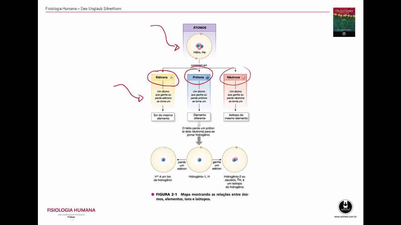 fisisiologia humana aula 02 teste Rod Eberr Atomos - YouTube