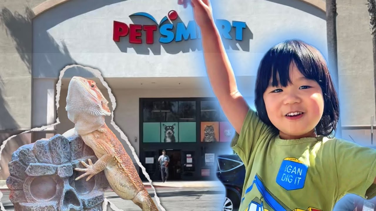 Xander’s adventure at Pet Smart. Saw lots of fishes, pirate ship, cats ...