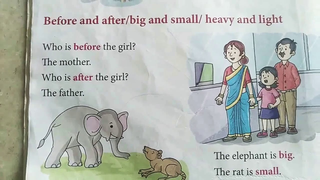 class 1 maths chapter 1, Prenumber concepts ( big - small,before- after ...