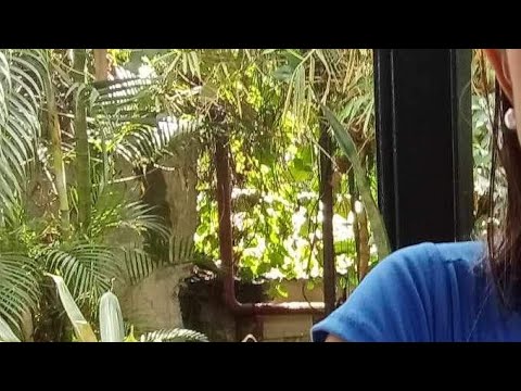 25th of April, good morning, hello hello hello, 📢 - YouTube