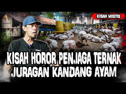 KISAH HOROR PENJAGA KANDANG AYAM!! PETAKA KUBURAN DI GUSUR JADI KANDANG!!!
