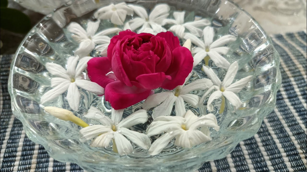 MY TERRACE GARDEN|USEFUL TIPS AND TRICKS TO GROW PLANTS - YouTube