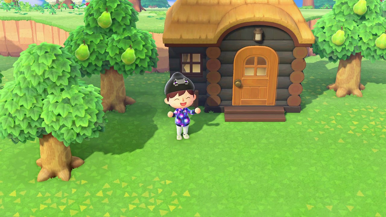 Huck Moves In - Animal Crossing: New Horizons - YouTube