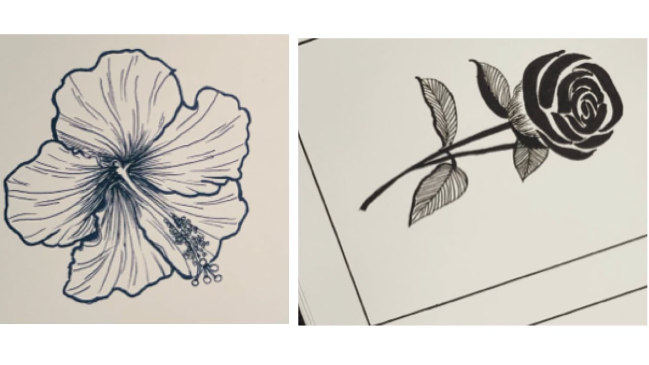 How to: Beautiful flowers sketching with pen || hibiscus flower drawing ...
