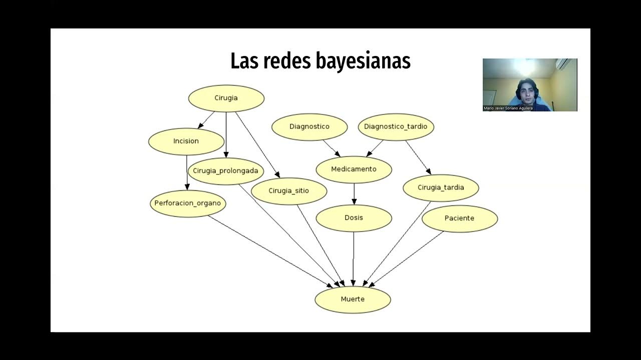 Evidencia 2 Diagnóstico Médico Red Bayesiana - YouTube