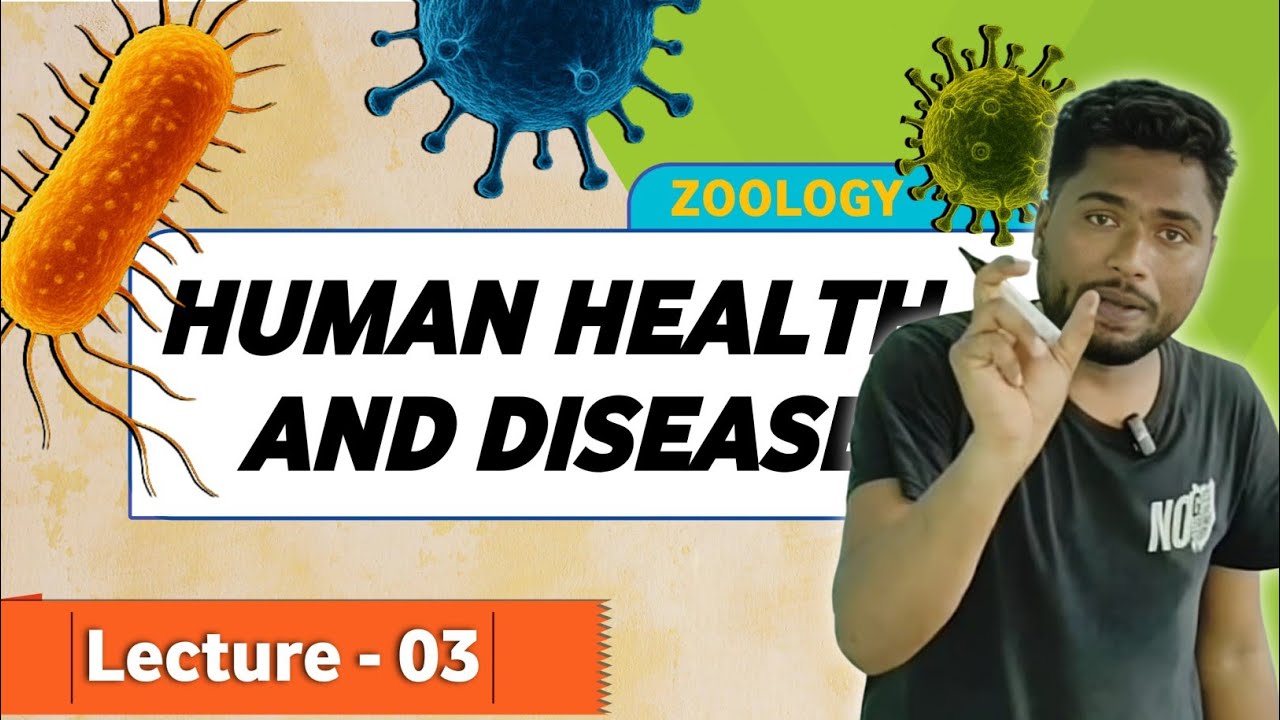 "Human Health & Disease | Typhoid Fever, Pathology, Diagnosis & More ...