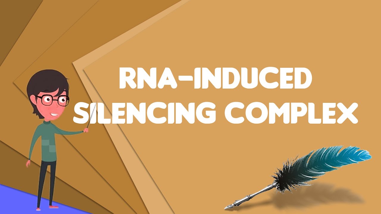 What is RNA-induced silencing complex?, Explain RNA-induced silencing ...