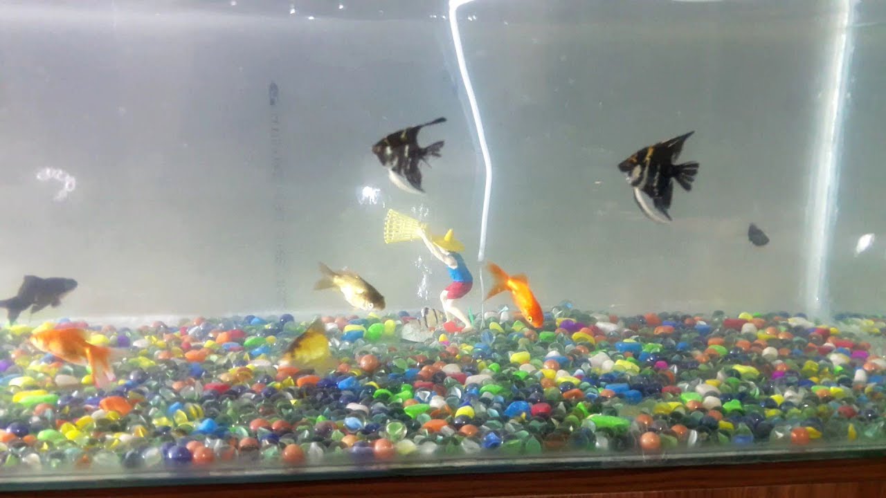 How To Make Fish Aquarium Simple And Easy (Fish Tank) || DIY Aquarium ...