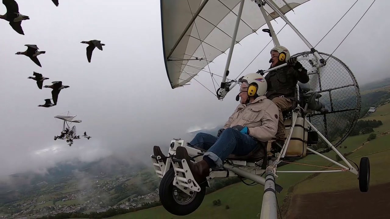 Flying with geese, 20. September, 2020 - YouTube