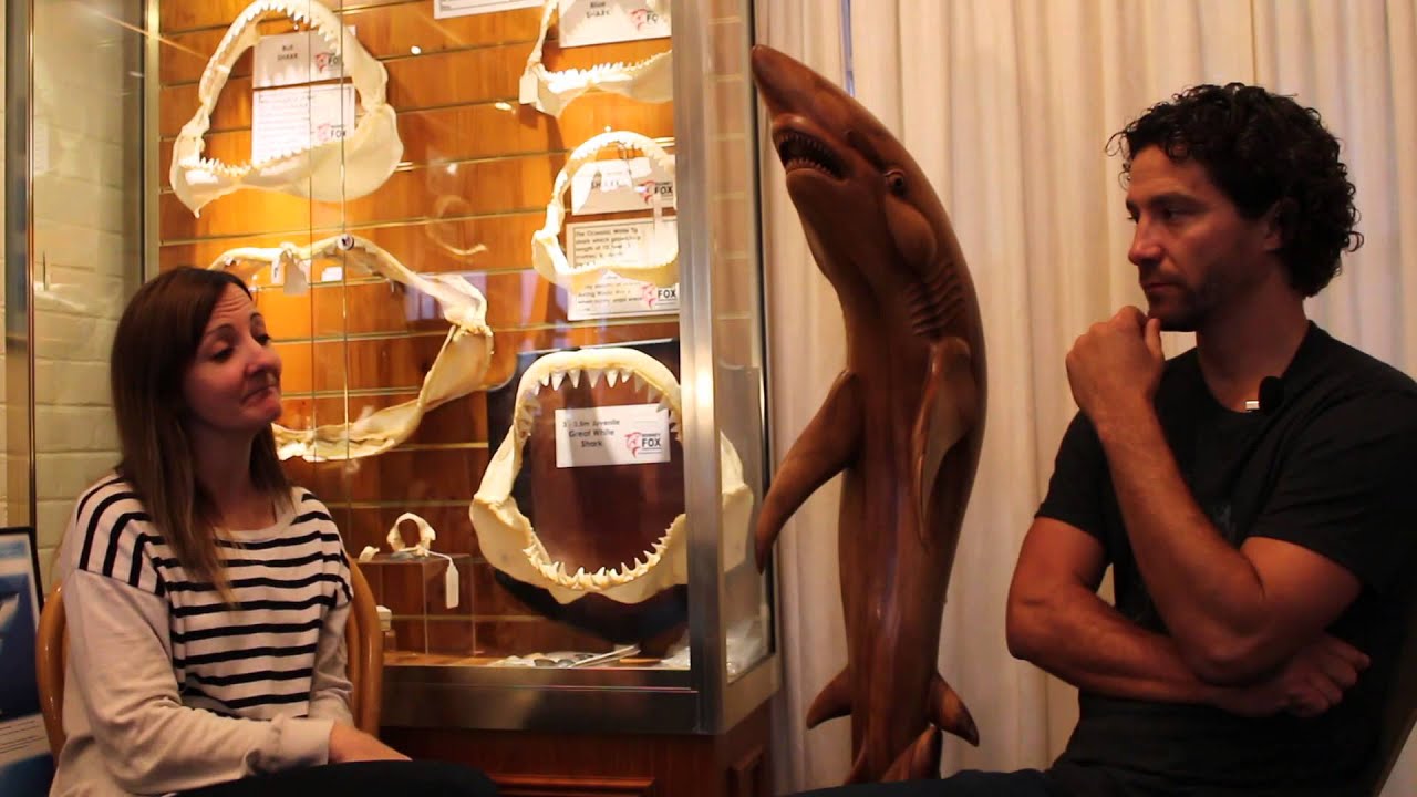 Dr. Rachel Robbins and Skyler Thomas discuss the cost of raising animal ...