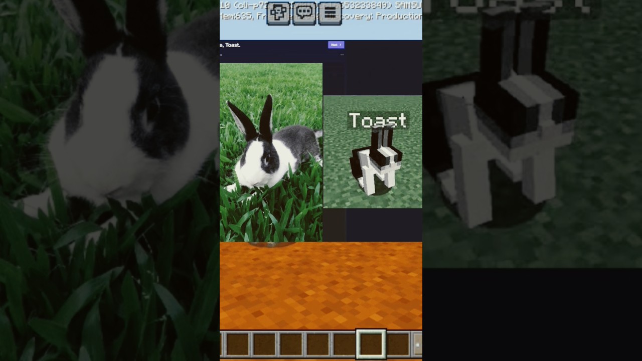 кролик Toast/rabbit Toast #minecraft #shorts #rabbit #Factshorts - YouTube