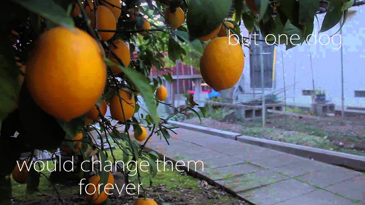 Alibaba: The Movie - YouTube