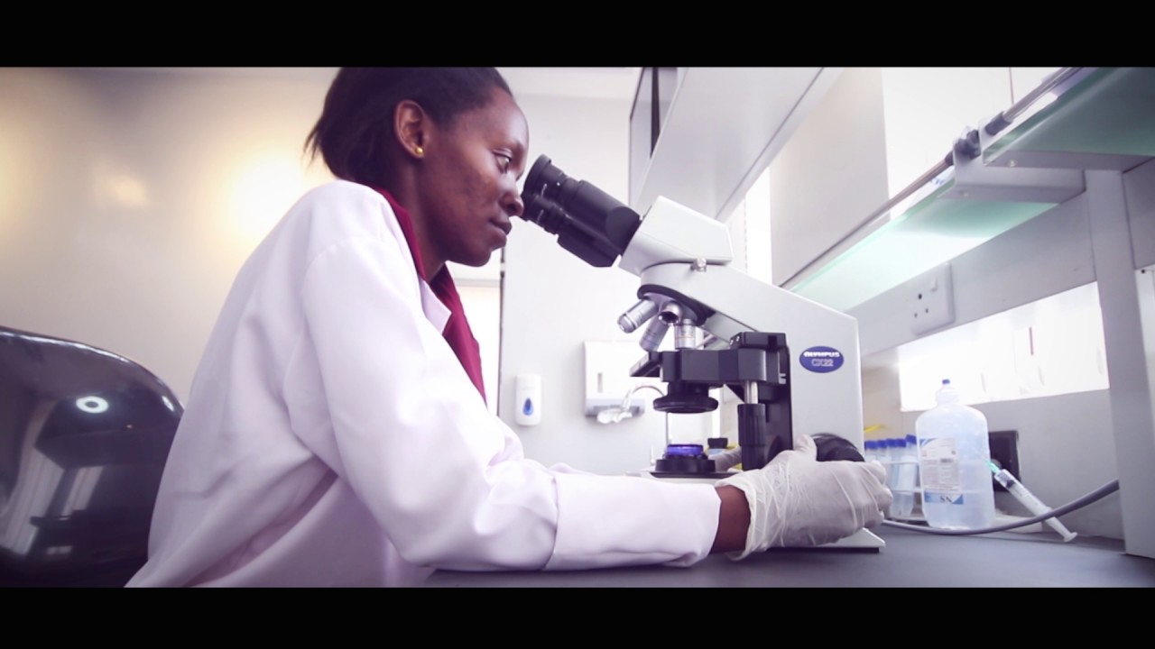 NSK Hospital - YouTube