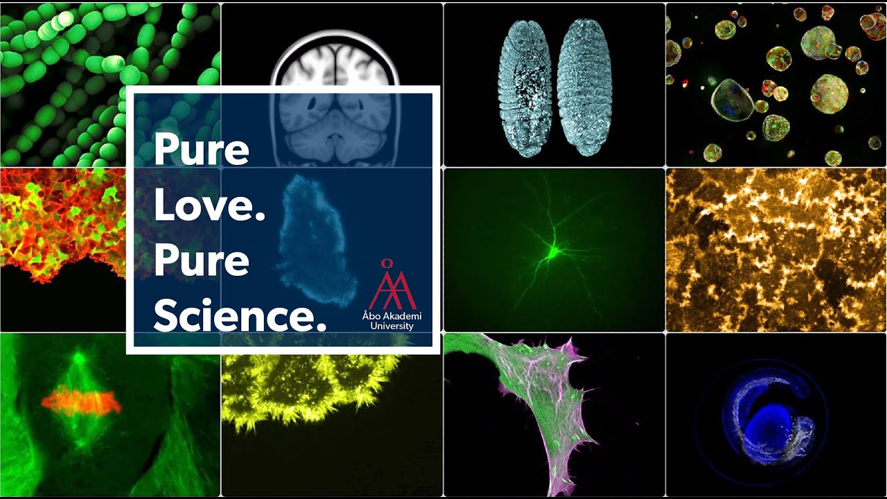 Study Cell Biology at Åbo Akademi University - YouTube