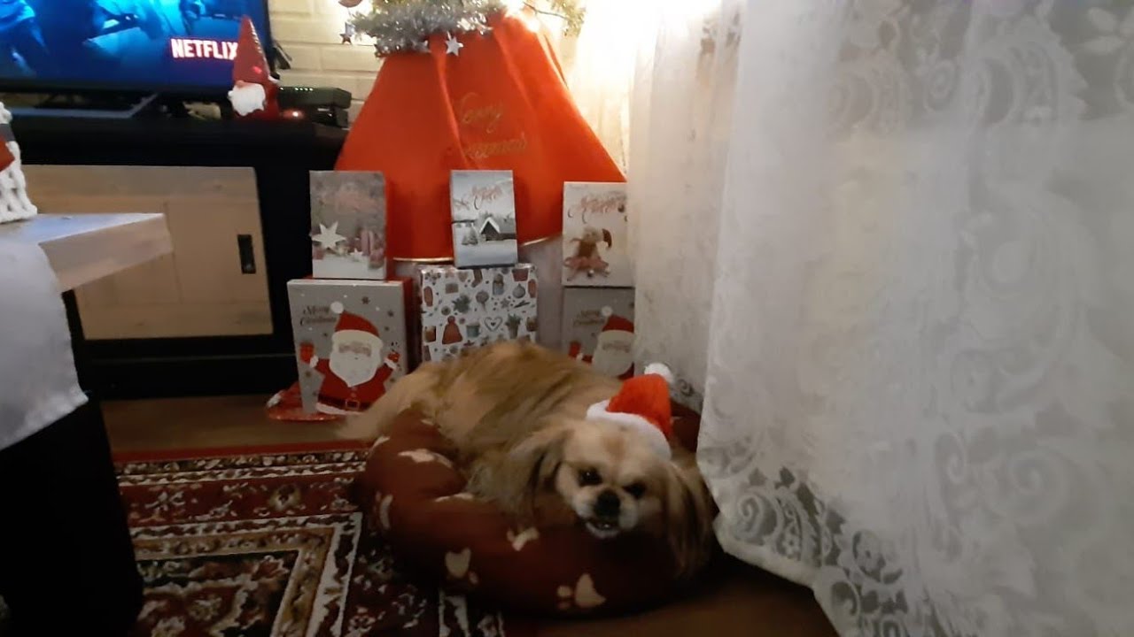 Merry Christmas 2021 : unboxing Christmas gifts for Pookie - YouTube