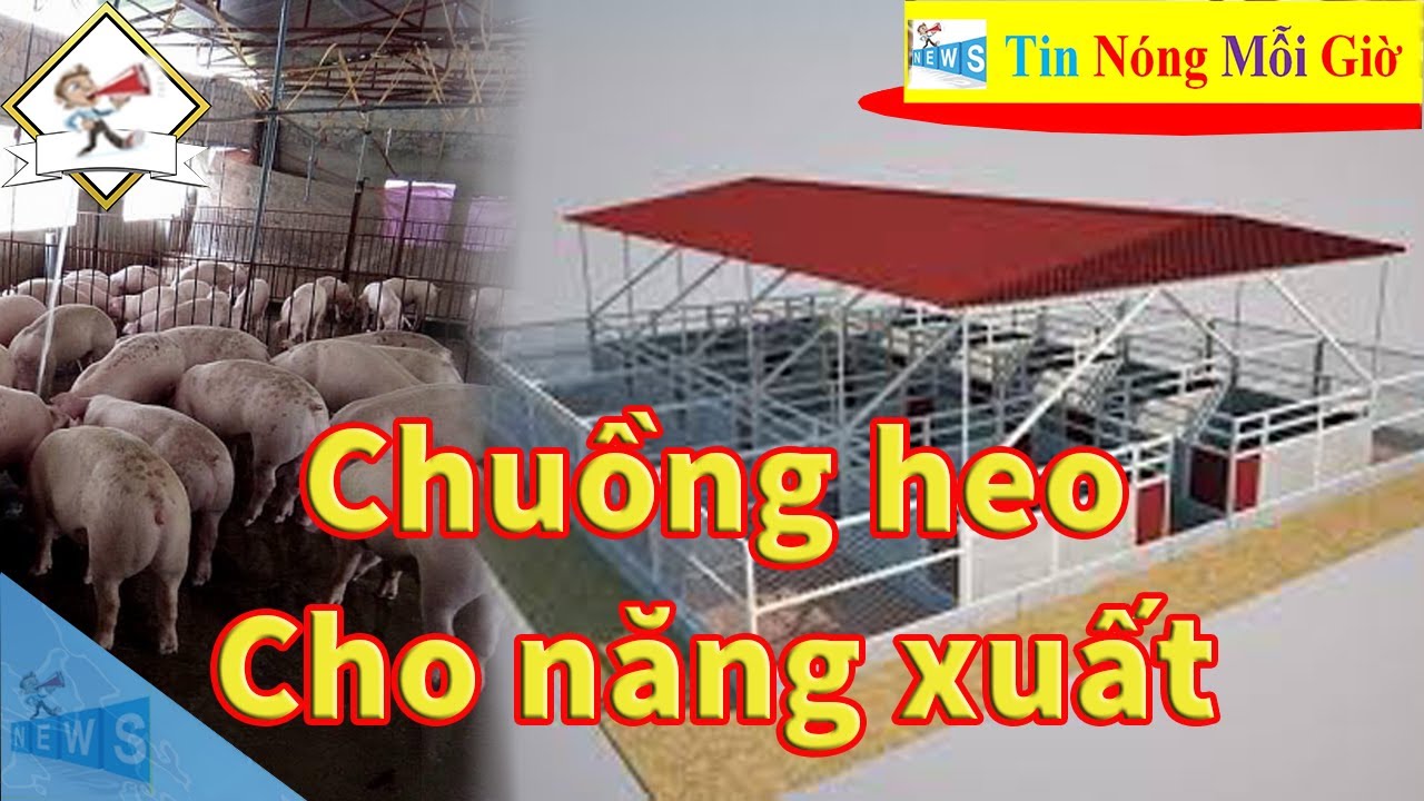 Hướng dẫn thiết kế & xây dựng chuồng nuôi heo(Lợn) - Các kiểu chuồng ...