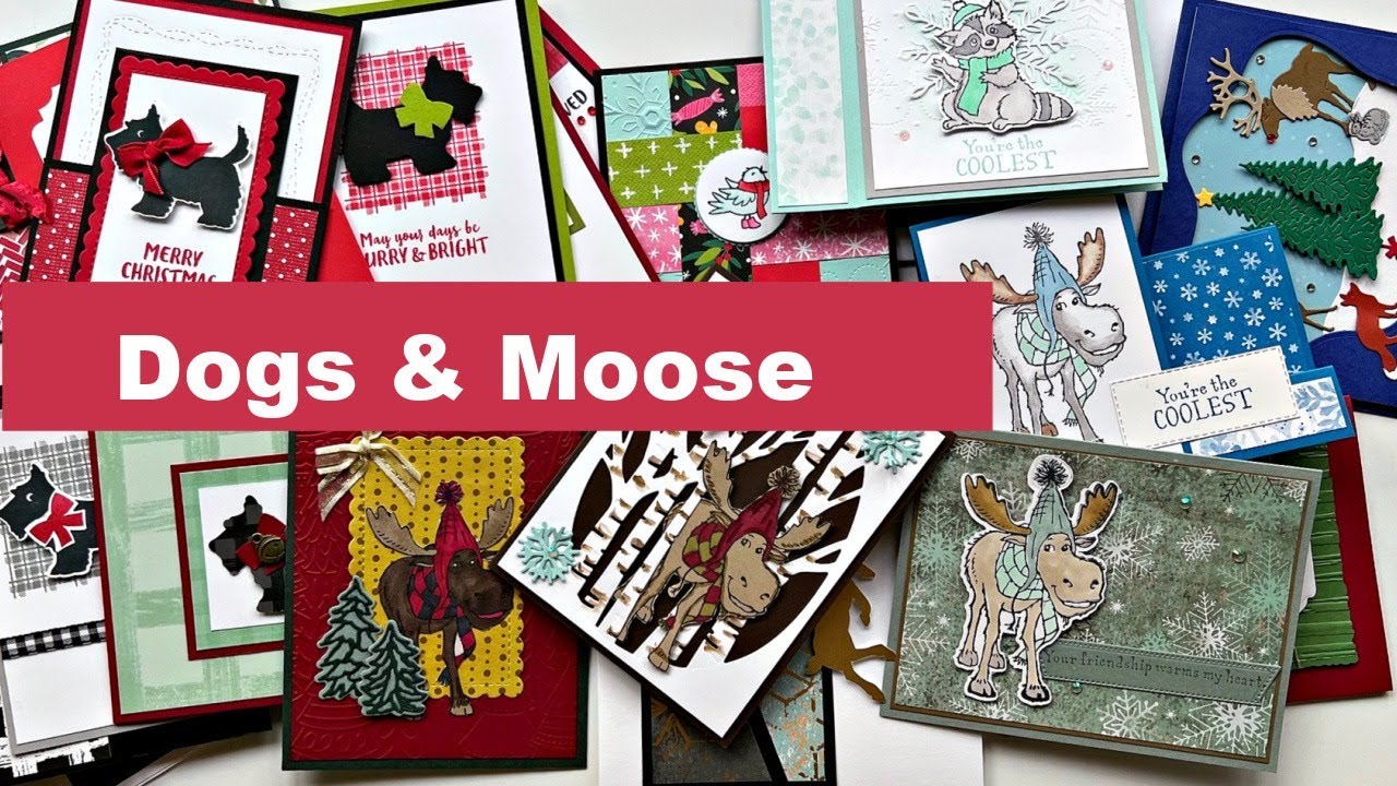 Moose Greeting Cards & Dog Greetings Cards Galore! - YouTube