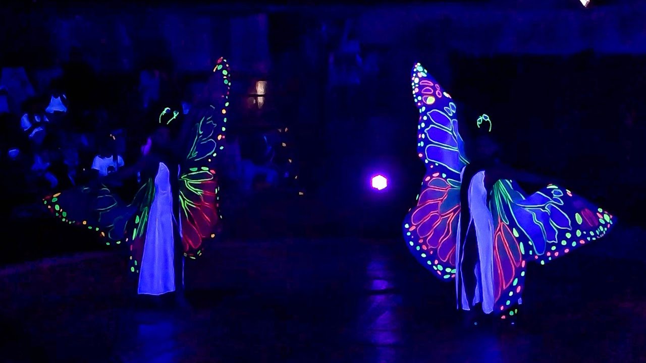 Butterfly Dance Show In Circus - YouTube