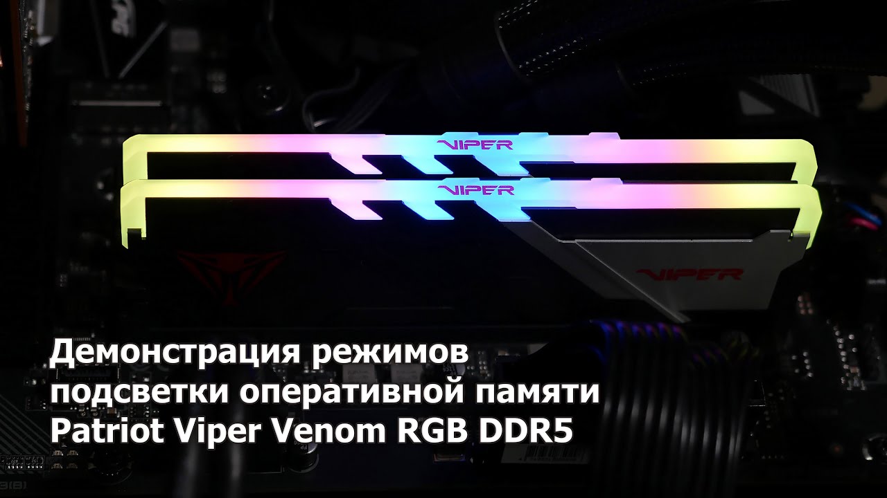 Patriot Viper Venom RGB DDR5 - Демонстрация режимов подсветки - YouTube