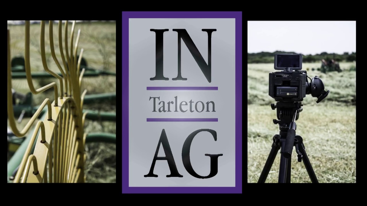 Inside Tarleton Agriculture - Bonfire Behind the Scenes - YouTube