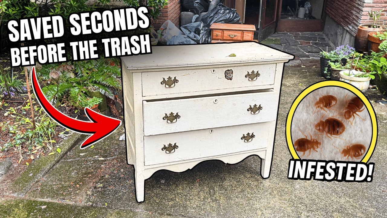 Bed Bug INFESTED Antique Chest of Drawers… Can I Save It? - YouTube