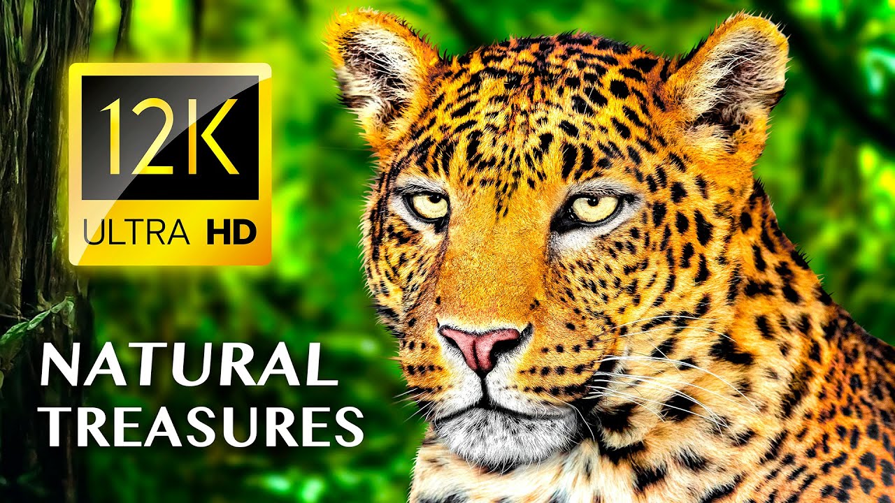 Earth's Most Breathtaking Natural Treasures 12K ULTRA HD - YouTube