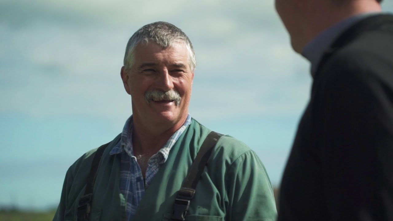 ONE50 Perennial Ryegrass - Gordon Gunn - Palmerston North | Agricom ...