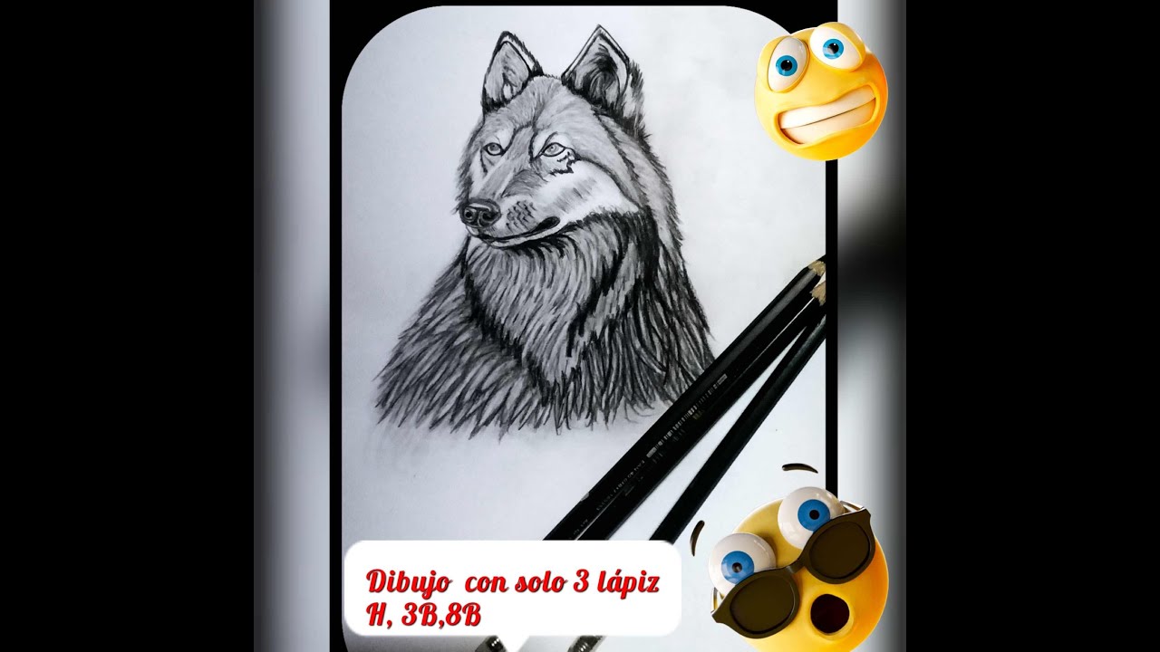 como dibujar un lobo realista a lápiz/how to draw a realistic wolf in ...