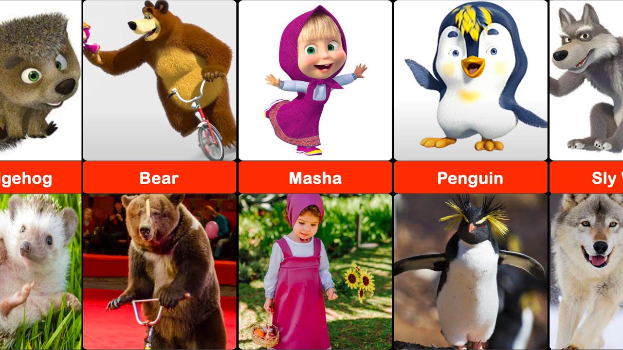 Masha and The Bear Characters in Real Life - Comparison - YouTube