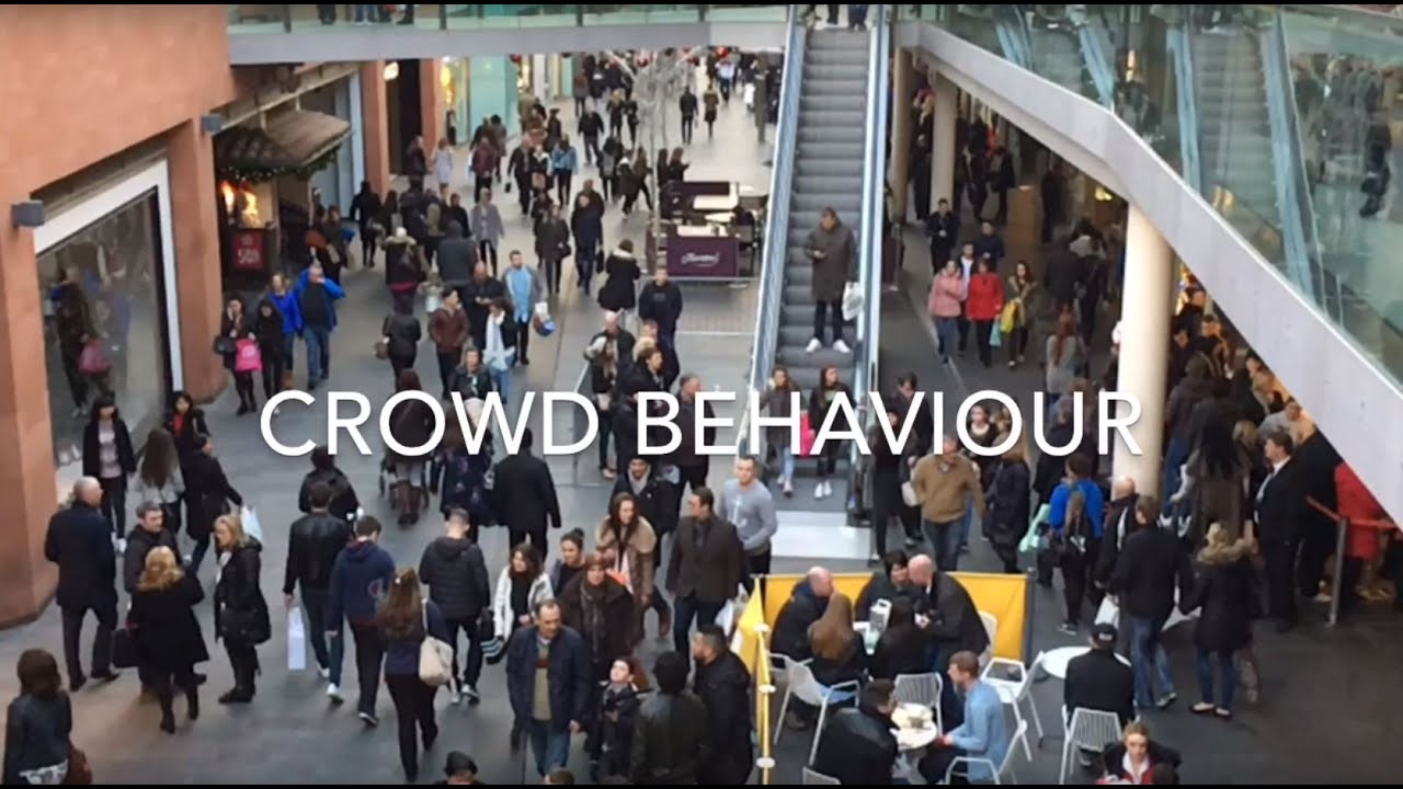 Crowd Behaviour Study - UK Shopping - YouTube