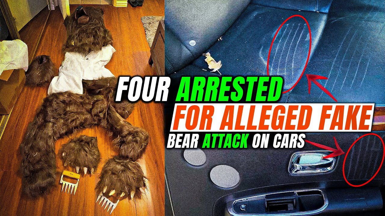 4 arrested in California over fake bear attack videos for insurance ...
