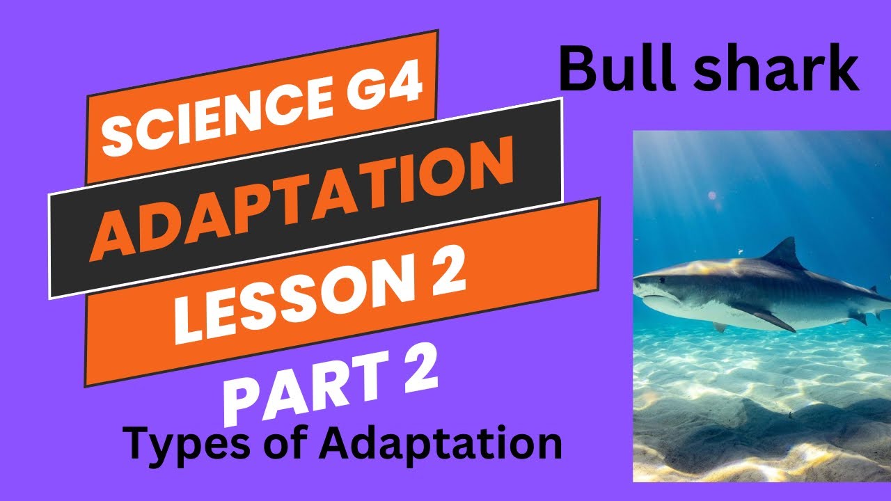 Science G4 |Concept 1-lesson 2 -Adaptation -Bull Shark (2025) - YouTube
